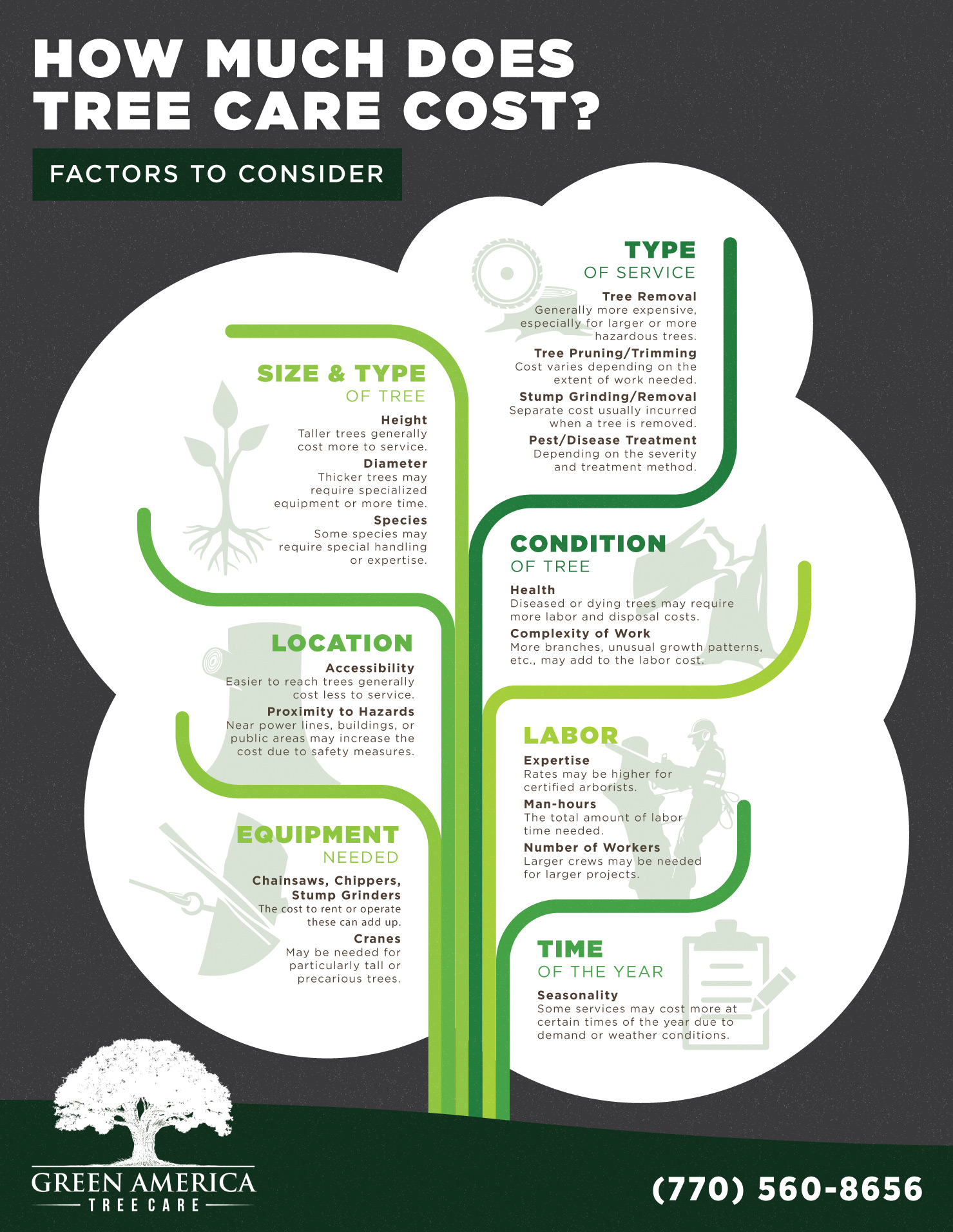 7 Factors to Consider in The Cost of Tree Care - Green America Tree Care